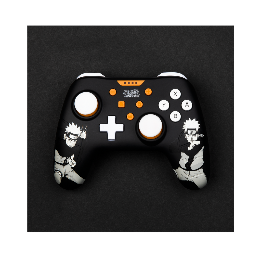 Controllers — Nintendo Online Store South Africa